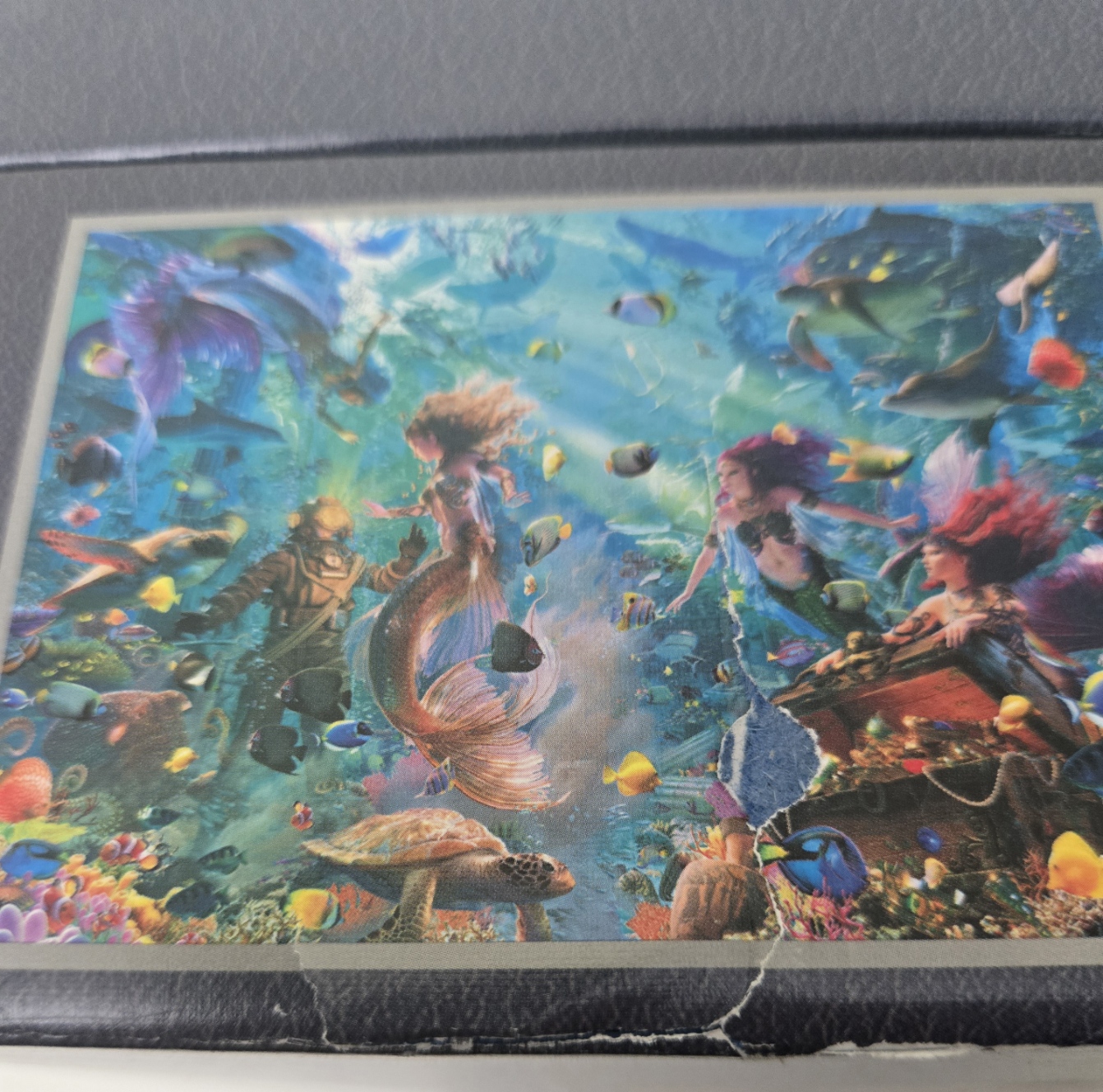 Ravensburger Kingdom Underwater 9000 Piece Puzzle – The Puzzle Collections